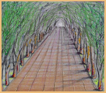 Deforestation: Thailand’s Tumbling Trees | The Bubble