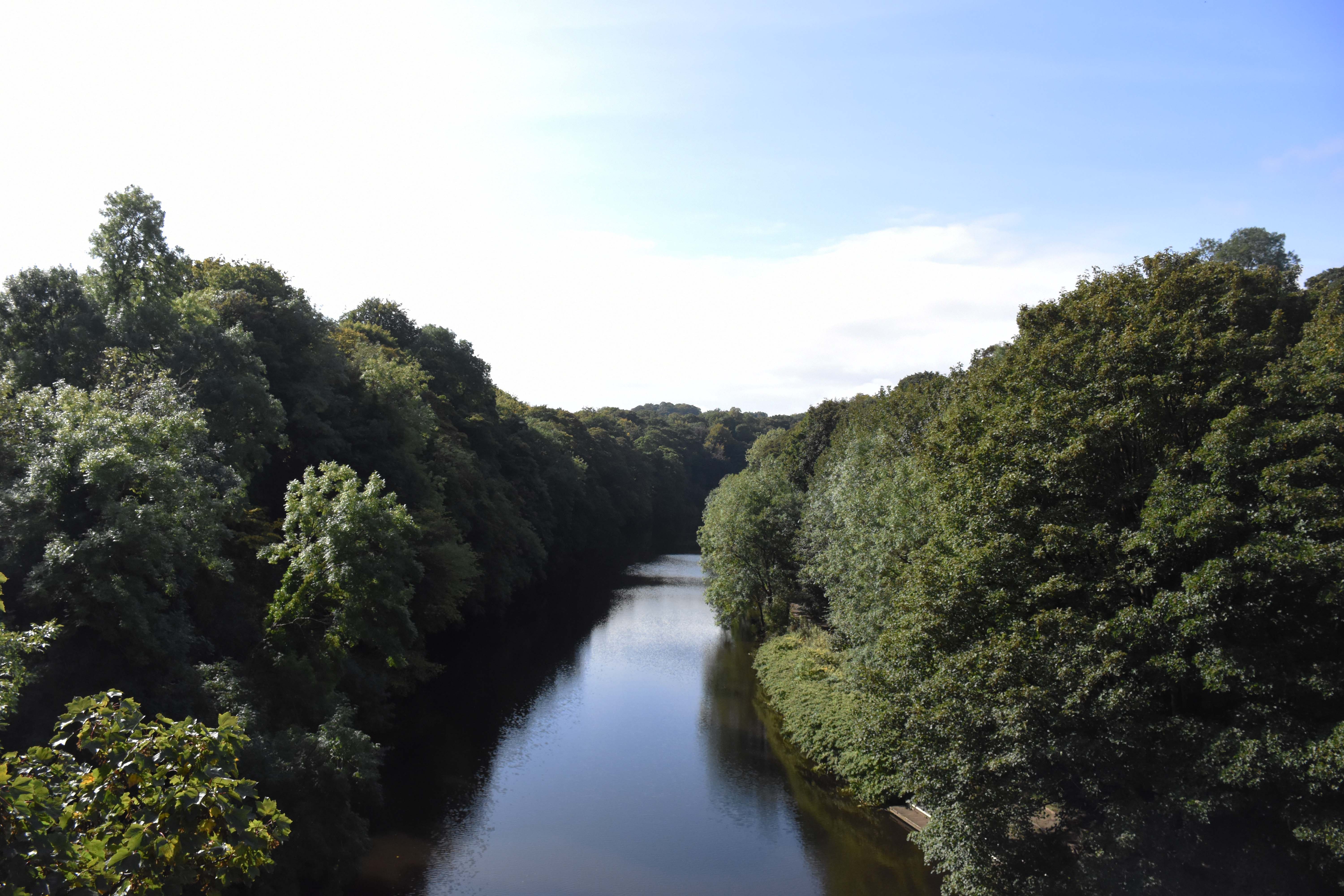 Intergenerational Activism: Achieving Environmental Justice | The Bubble