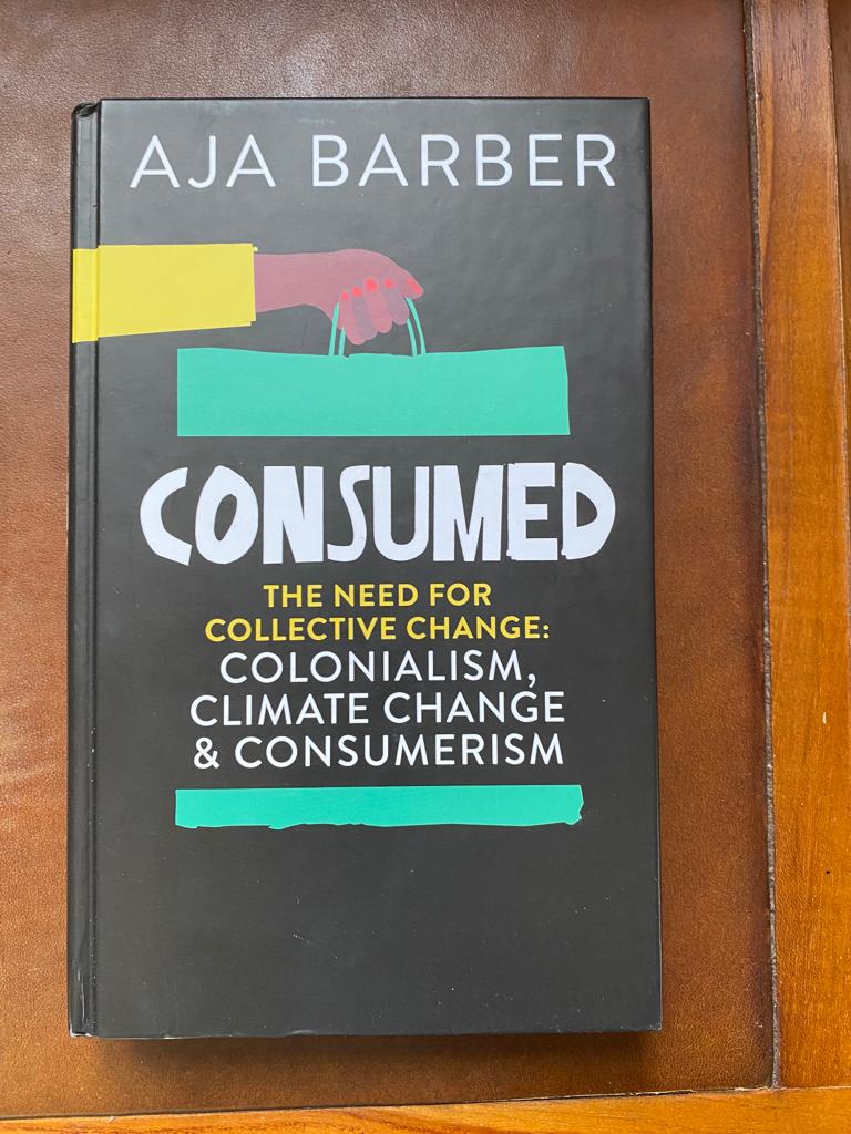 Colonialism and climate change: a review of 'Consumed' by Aja Barber ...
