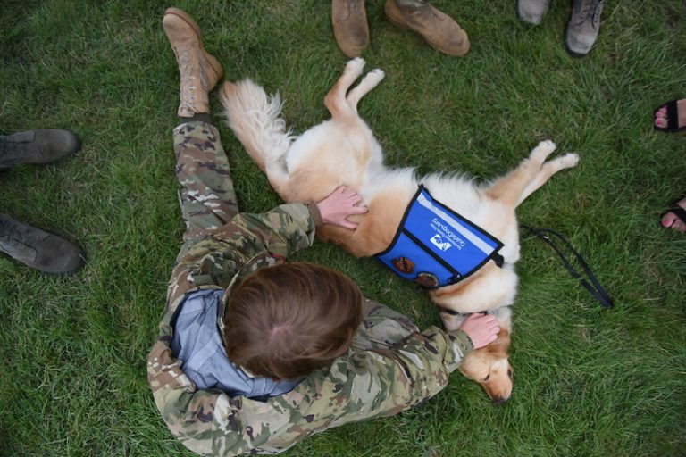 The science behind emotional support animals | The Bubble