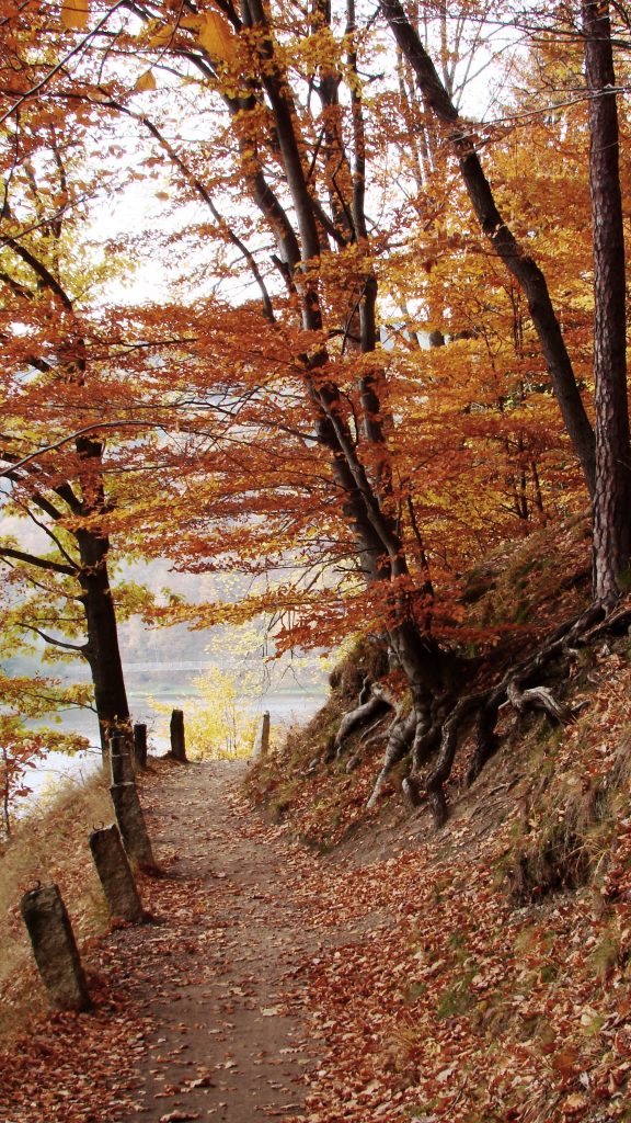 Being out in nature: get outdoors in Durham | The Bubble