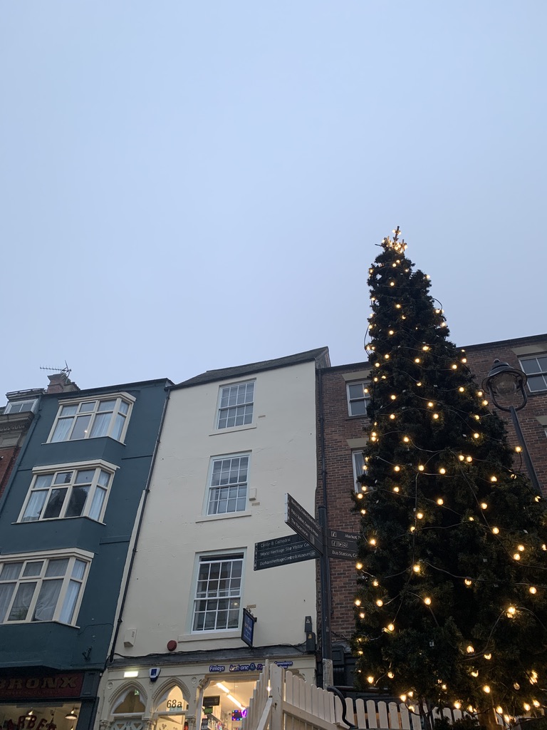 Michaelmas Term: Take Two | The Bubble